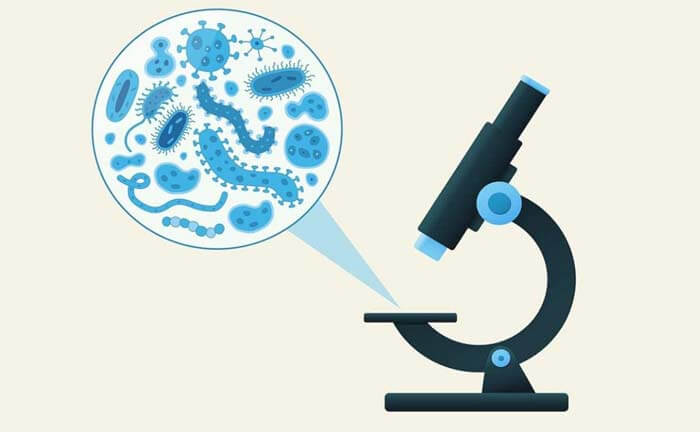 10 Best Handheld Microscopes Reviews 2025 | Highly Portable