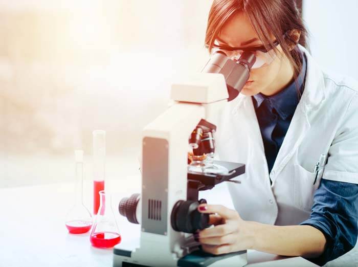 10 Best Beginner Microscopes Reviews 2025 | User-Friendly