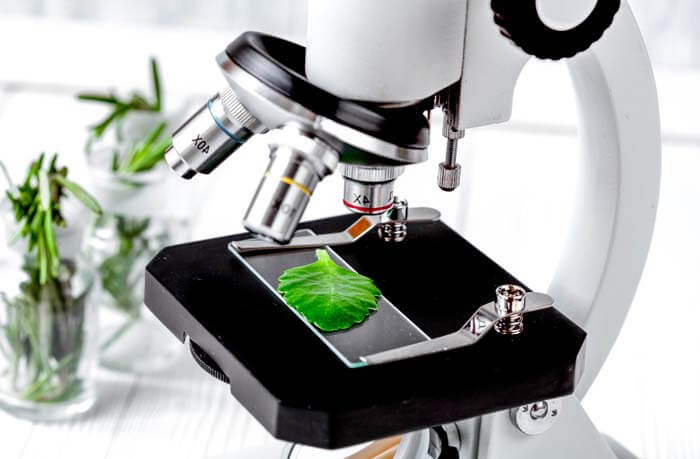 12 Best Plant Cell Microscopes 2025 | Top Models Reviewed
